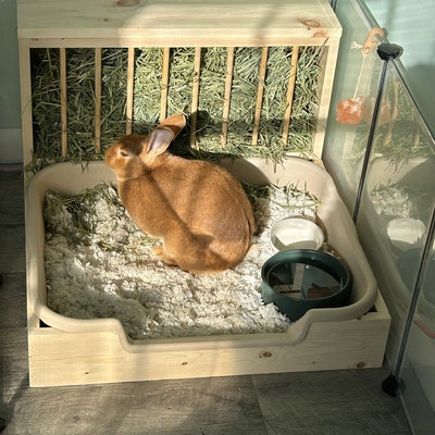 Large EZ Entry 2.0 Hop Box: Rabbit Bunny Easy Entry Hay Feeder and ...