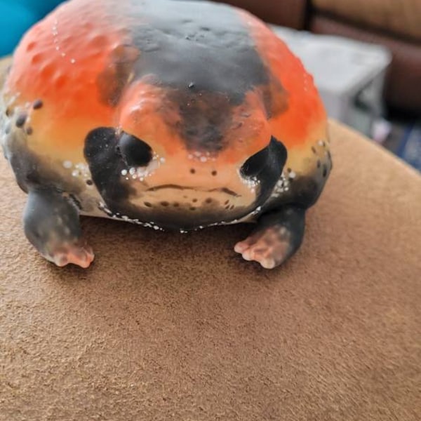 SQUISHY Desert Rain Frog. Cute Butt Frog Fidget Weirdcore Desk Toy for ...