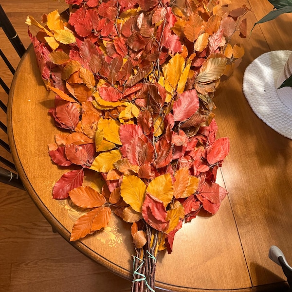 Preserved Copper Beech Foliage – Fall Decorating Greens, Wedding ...