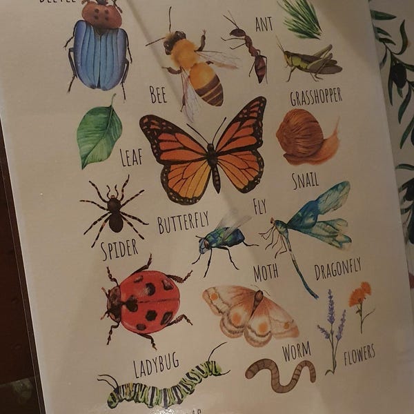 Halloween Potions Dramatic Play, Kids Pretend Play, Halloween Potions ...