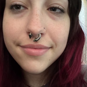 HALF GOLD / SILVER 4G, 5G, 6G, 7G, 8G, 10G, or 12G Anodized Astm F136 ...