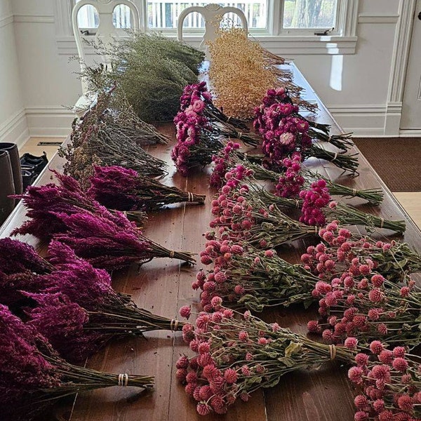 Dried Snapdragon Flower Stems antirrhinum Majus - Etsy