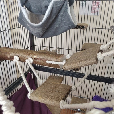 Large Chunky Wood Pet Perch for Cage, Pet Rat Toy Accessories, Rat ...