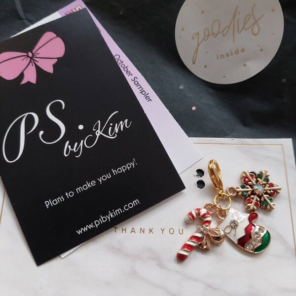 Mini Happy Planner Pouch, Skinny Mini, Clear Sticker Storage, Storage ...