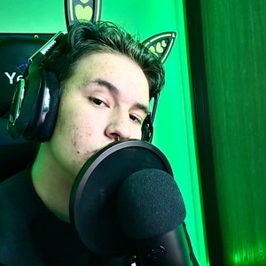 Heart Bunny Ears for Headsets and Headphones, Synthwave Gamer Rabbit ...