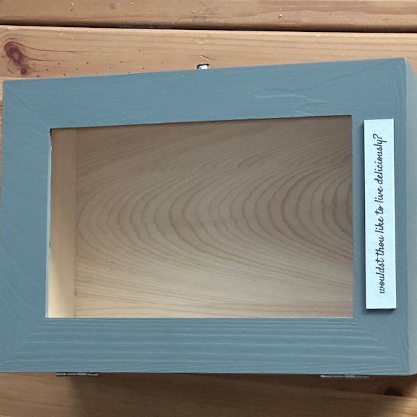 Small Extra Deep Wooden Personalized Shadow Box Frame With Glass Door, Display Case, Memory Box ...