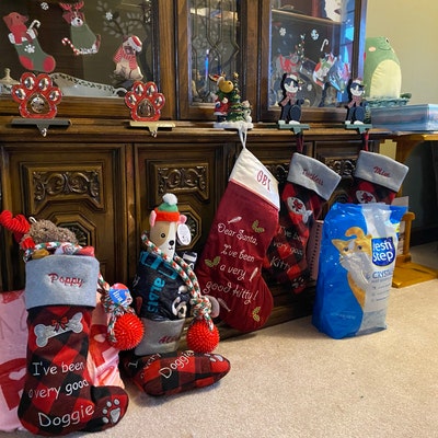 Large Skeleton Window Cling on Halloween No Glue or Adhesive - Etsy