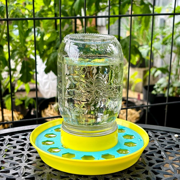 Monarch Butterfly Raising Kit- Butterfly Raising Kit, Milkweed Floral ...