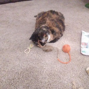 Twist Tie Toy, Natural Cat Toy, Cat Toss Toy, Twistie Toy, Toys for ...