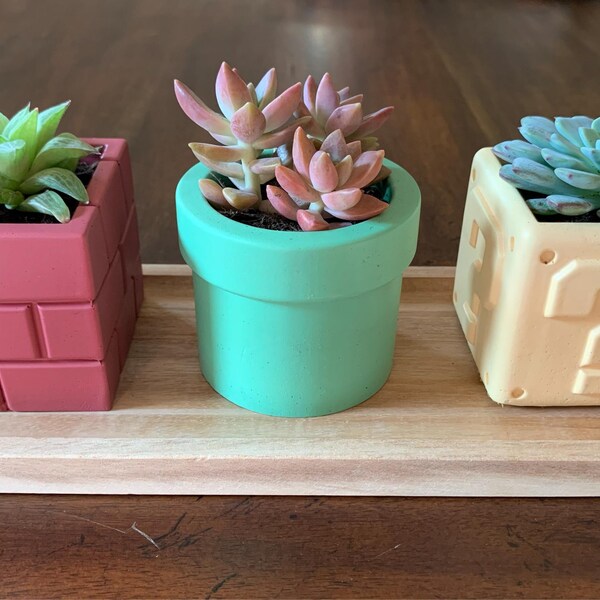 Beton Groß Mario Ziegel Sukkulenten Pflanzer Hochzeit Gastgeschenke ...