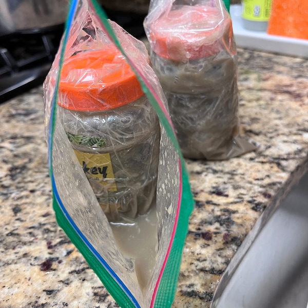 Danggit 110g Unsalted | Boneless | Dried Fish | Daing | Tuyo - Etsy