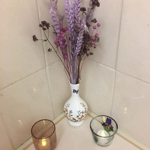 Dried Conkers Conkers in Shells ,dried Natural Conkers Nuts,fall ...