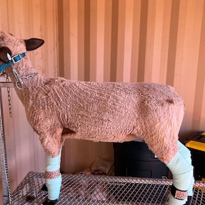 Sheep Leg Wraps Goat Leg Wraps Mini Horse Leg Wraps Serape - Etsy