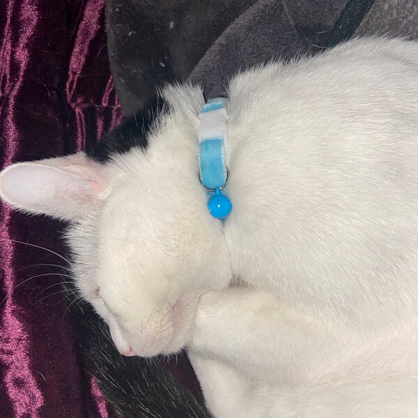 Cat Collar - "velvet - Frosty Blue" - Light Blue Cat Collar / Winter ...