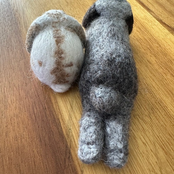 Custom Finch | Bird App Pet | Personalised Finch App - Etsy