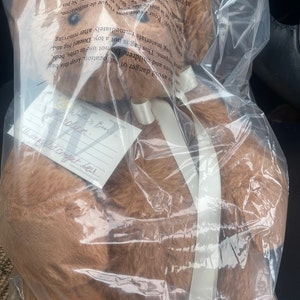 Custom Bear With Voice Recorder Voice Recording Gift Voice - Etsy