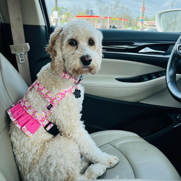 Dog Harness - Star Spangled Easy-on Dog Harness - 9 Sizes - Etsy
