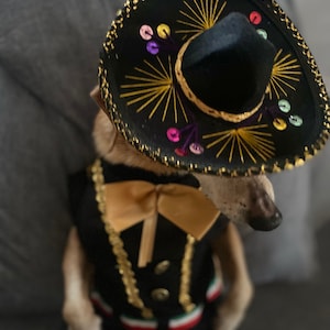 Mariachi Dog Costume/ Mariachi Outfit for Dogs/ Mexican Dog Costume ...