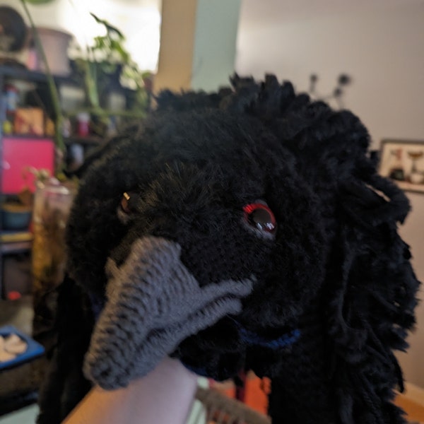 Crochet Raven Hat - Etsy