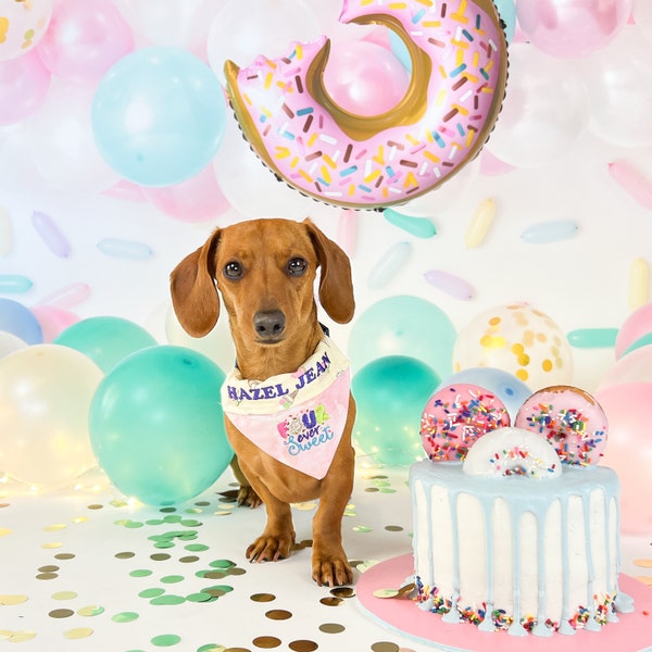 Donut Party - Printed Photography Backdrops - Donut Backdrop - Donut ...