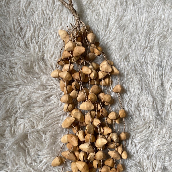 Kenari Seeds Rattle (INDONESIA) - Etsy Australia