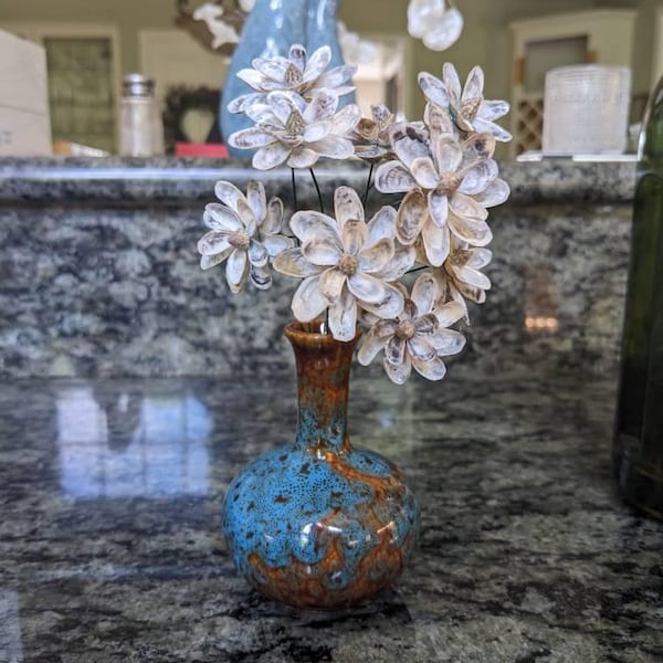 3-petite Pinwheel Coquina Shell Flowers, 15 Shells With Snail in Center ...