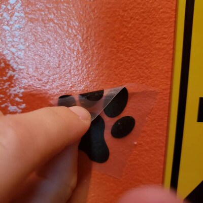 Nineteen 13 Delta Sigma Theta DST Decal Vinyl Sorority Greek - Etsy