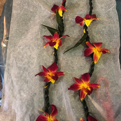 Fresh Lei micro Ginger Choose Your Delivery - Etsy