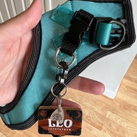 Dog ID Tag Changer / Tag Loop - Etsy
