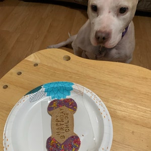 Large Personalized Bone Happy Birthday, Happy Push Day, Happy Gotcha ...