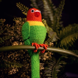 Crochet parrot DIY pattern Easy Tutorial PDF Amigurumi | Etsy
