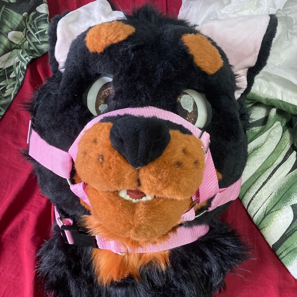 Pride Flags Fursuit Collar - Etsy