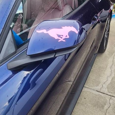 Ford Mustang Etched Pony Decals Pair - Etsy
