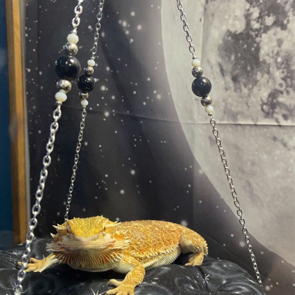 Bearded Dragon Lizard Pillow Swing; Papasan Style, Multiple Sizes ...