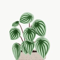 Boho Desktop Wallpaper | Aesthetic Desktop Background | Earthy Laptop ...