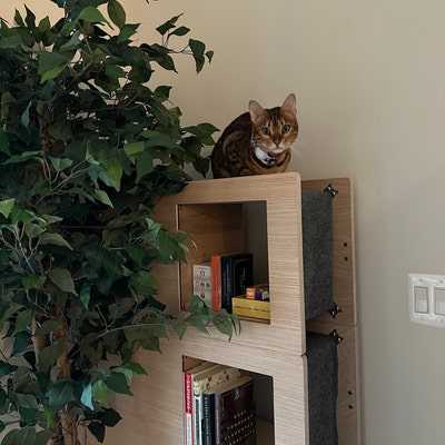 Kitty Steps Wall Mounted Cat Terrain - Etsy