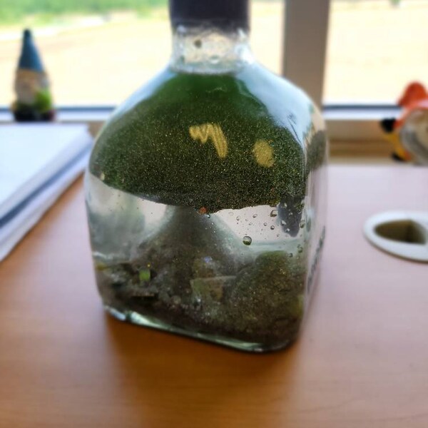 20 Questions Bottle - Etsy