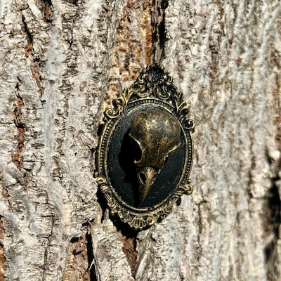 Bronze Raven Skull Brooch, Bird Skull Cameo , Faux Taxidermy, Gothic ...