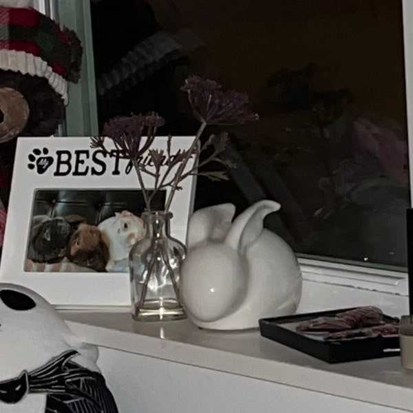 Rabbit Urn Bunny Ashes Casket - Etsy
