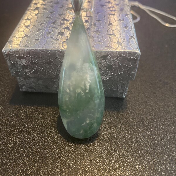 Rare 9.2oz Extinct Chain Coral Fossil halysites From Lake Michigan 425 ...