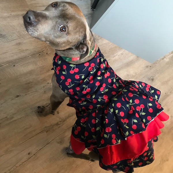 Isabella Dog Dress -4X- Sewing Pattern PDF, Big Dog Clothes Pattern ...