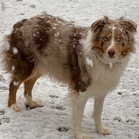 Glitter Cabo Sleep Mask Great Cabo Bachelorette or Birthday Party ...