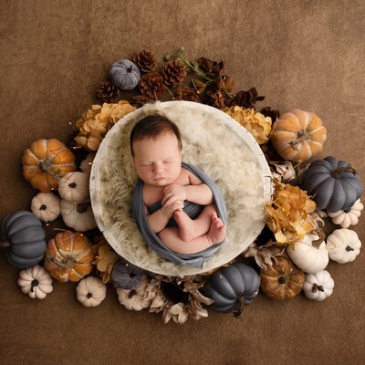 Fall Digital Backdrop, Newborn Digital Backdrops, Digital Backgrounds ...