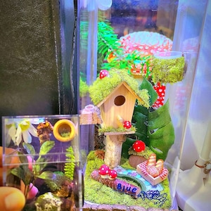 Made-to-order 4x7.25 Cozy Cottage Jumping Spider Enclosure - Etsy