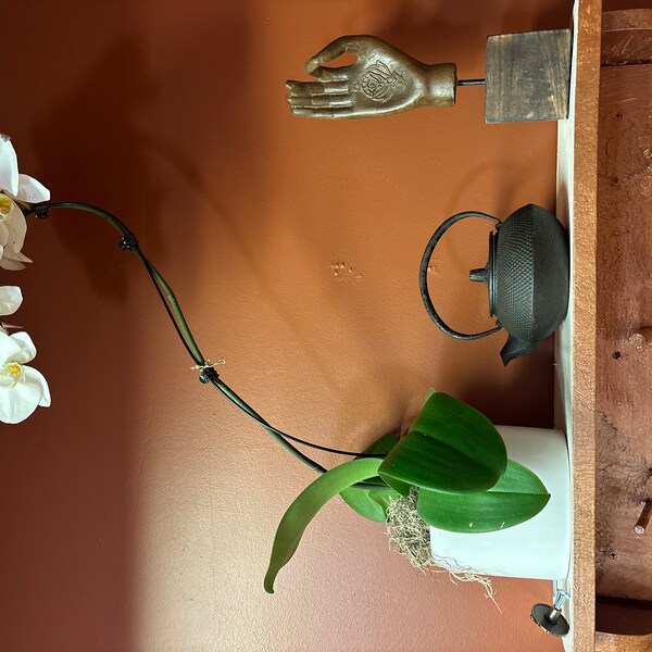 Japanese Antique Hakari Tenbin Balance Scale Meiji Era With Original ...