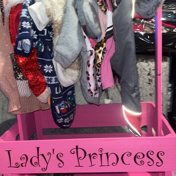 Pink Dog Wardrobe, Dog Harness Storage, Dog Closet, Dog Clothing ...