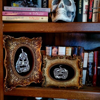 Real Mole Bone Displays. Bone Display. Mounted Mole Bones. - Etsy UK