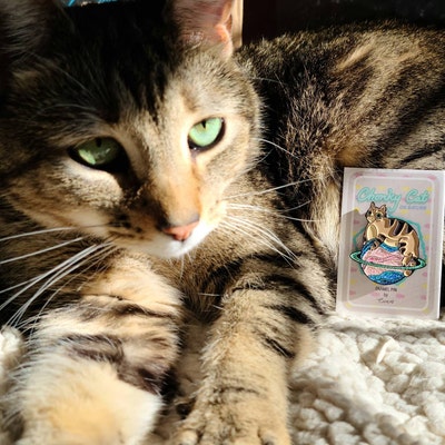 Red Tailed Hawk SVG/PNG/JPEG Digital Art File, Hawk Clipart for Cricut ...