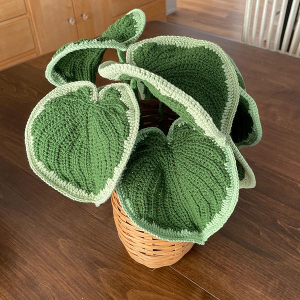 Crochet Hosta Plant Pattern: Photo Tutorial (PDF Pattern) - Etsy