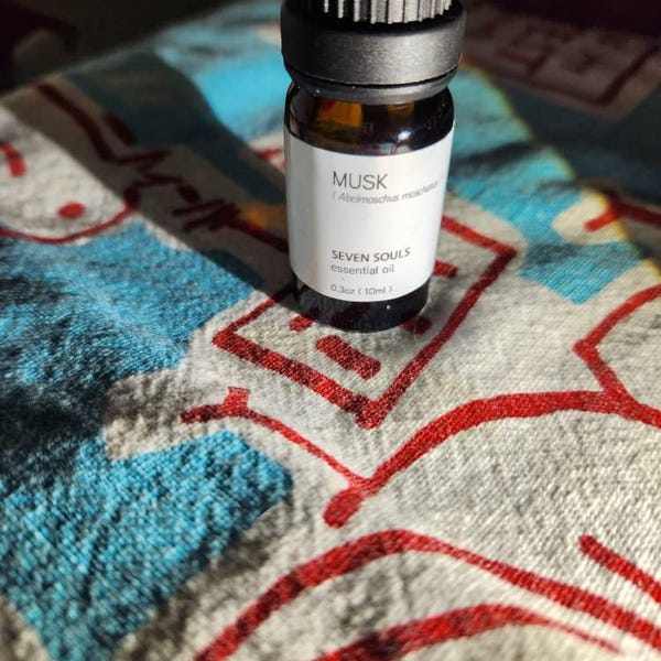 MUSK ( Ambrette Seed ) Organic Essential Oil - 10ml - Etsy